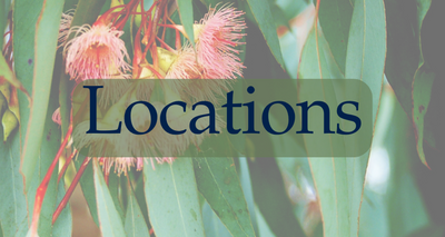 Welcome to the Siddha Yoga Path in Australia